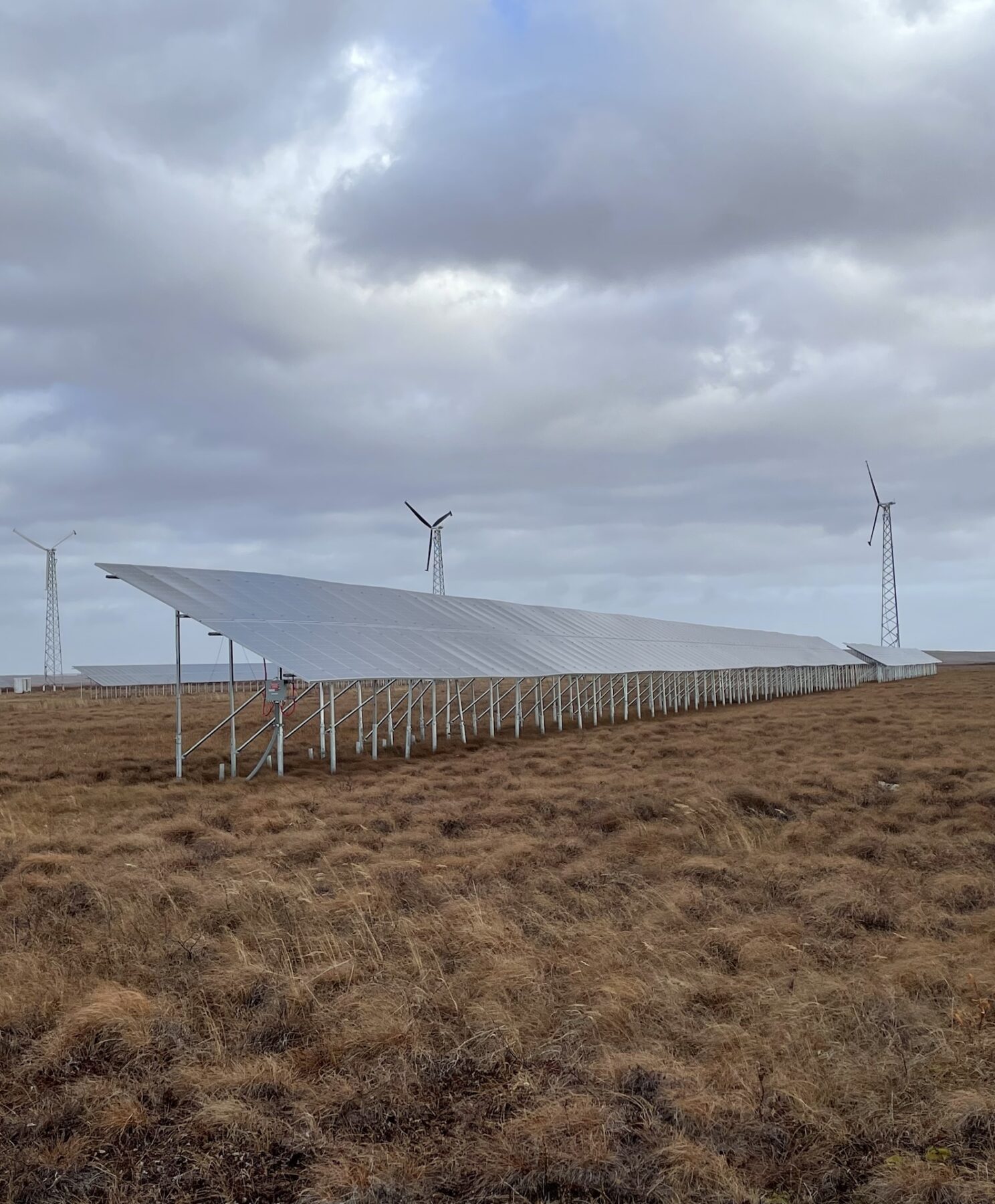 Rural Independent Power Producers: Who and What Does It Take? : REAP